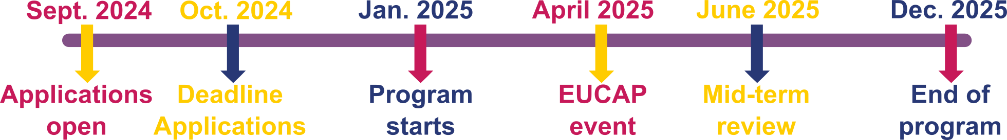 Mentoring Program | EurAPP